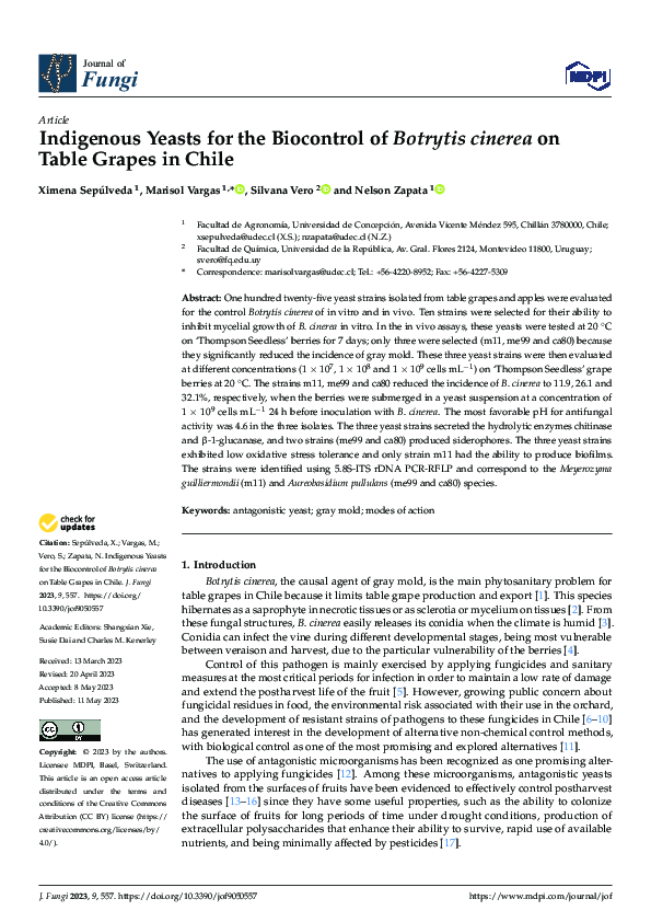 (PDF) Indigenous Yeasts for the Biocontrol of Botrytis cinerea on Table ...