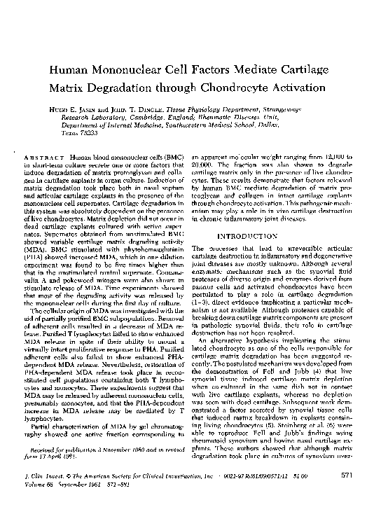 (PDF) Human mononuclear cell factors mediate cartilage matrix ...