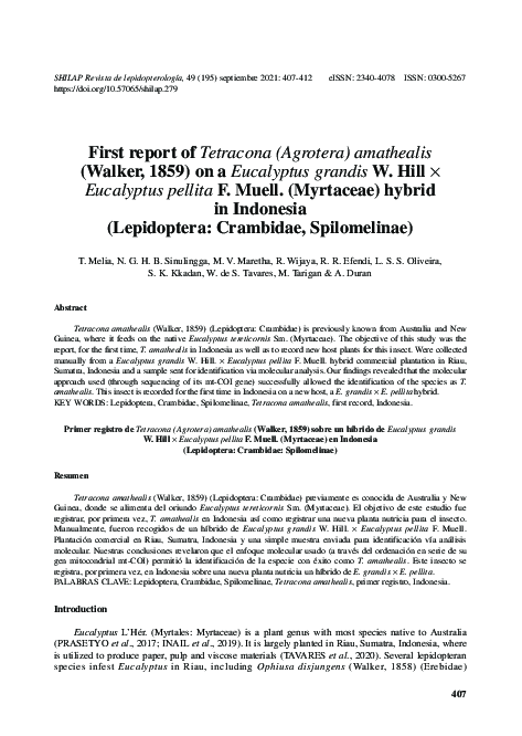 (PDF) First report of Tetracona (Agrotera) amathealis (Walker, 1859) on ...