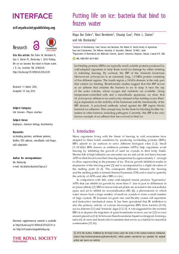 (PDF) Putting life on ice: bacteria that bind to frozen water
