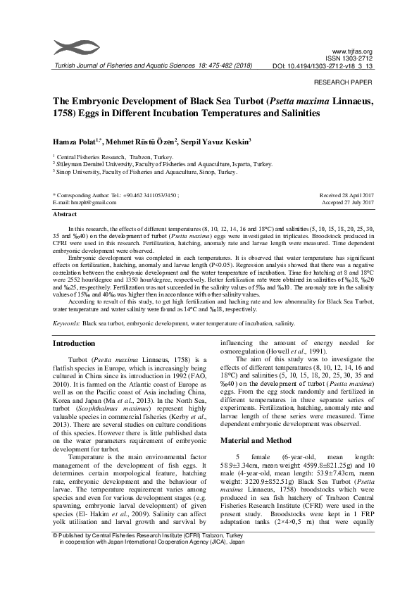 (PDF) The Embryonic Development of Black Sea Turbot ( Psetta maxima ...