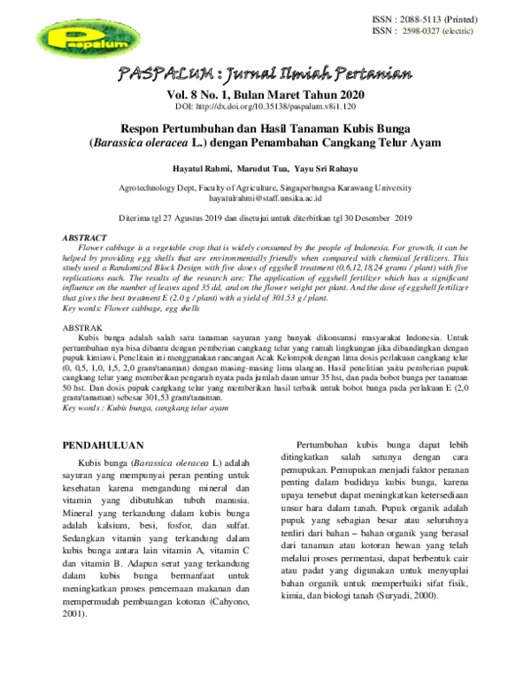 (PDF) Respon Pertumbuhan dan Hasil Tanaman Kubis bunga (Barassica oleracea L) Akibat Pemberian ...