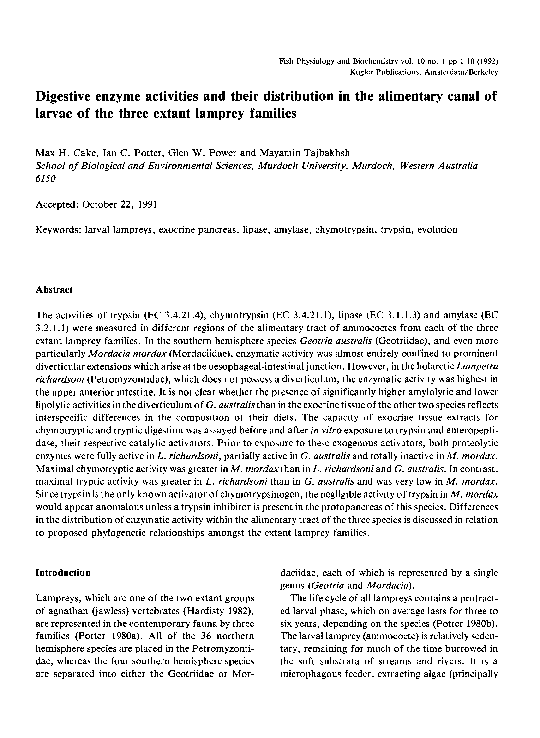 (PDF) Digestive enzyme activities and their distribution in the ...