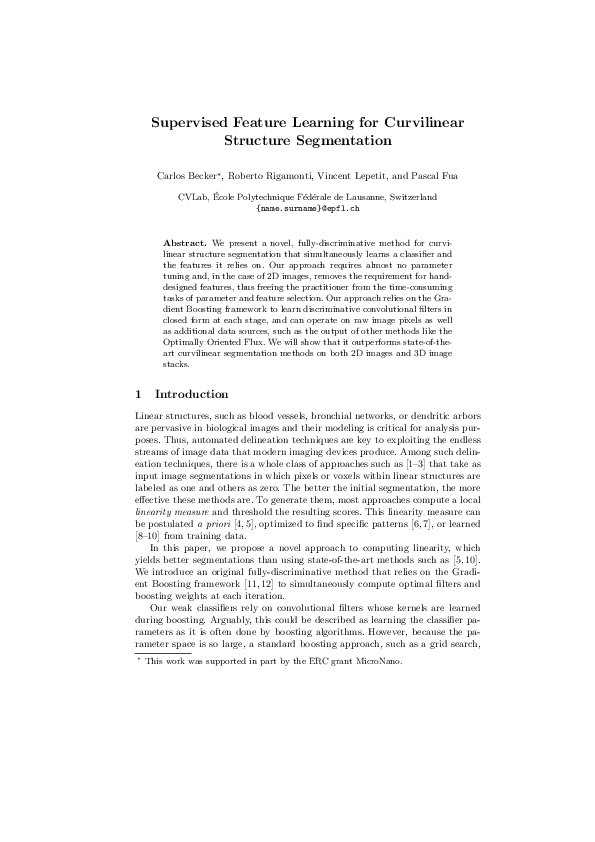 (PDF) Supervised Feature Learning for Curvilinear Structure Segmentation
