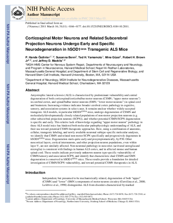 (PDF) Corticospinal motor neurons and related subcerebral projection ...