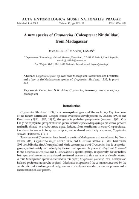(PDF) A new species of Cryptarcha (Coleoptera: Nitidulidae) from Madagascar