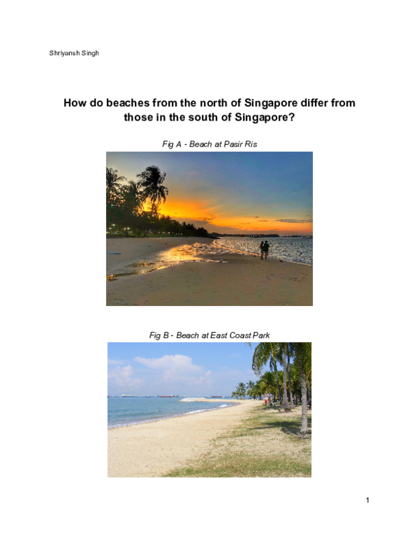 (PDF) Research Paper on the Coastal Geomorphology of Singapore's ...
