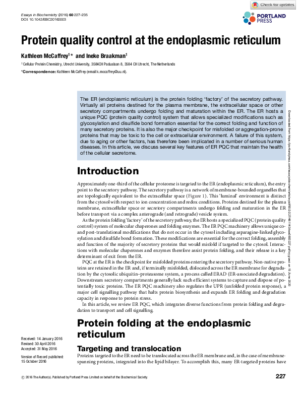 (PDF) Protein quality control at the endoplasmic reticulum | Ineke ...