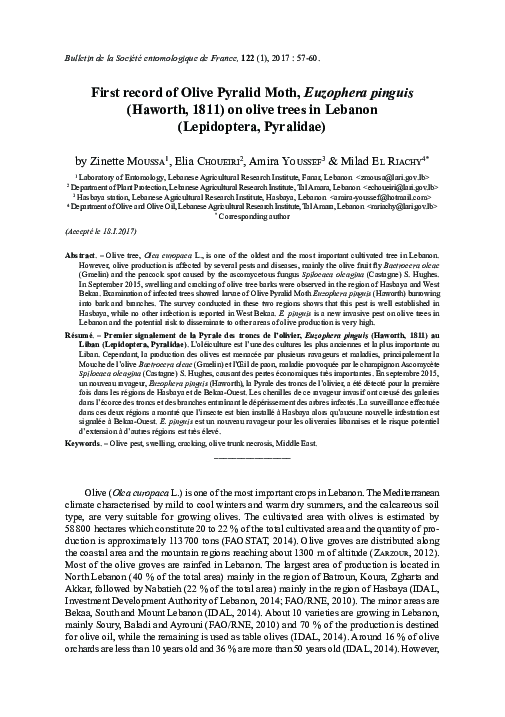 (PDF) First record of Olive Pyralid Moth, Euzophera pinguis (Haworth ...