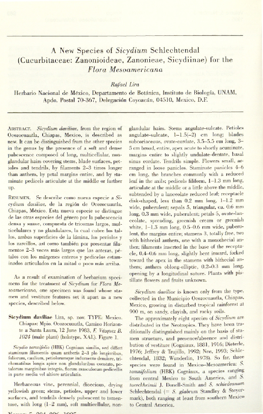 (PDF) A New Species of Sicydium Schlechtendal (Cucurbitaceae ...