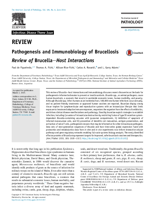 (PDF) Pathogenesis and Immunobiology of Brucellosis: Review of Brucella ...