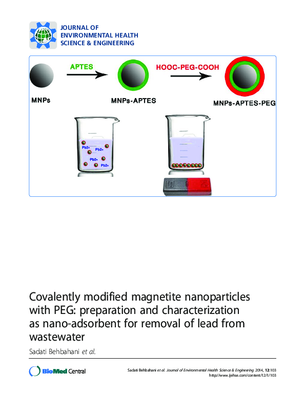 (PDF) Covalently modified magnetite nanoparticles with PEG: preparation and characterization as ...