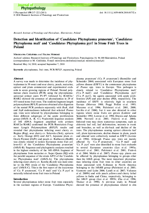 (PDF) Detection and Identification of ‘Candidatus Phytoplasma prunorum ...