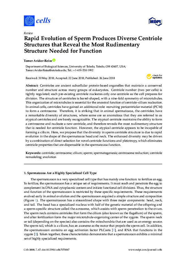 (PDF) Rapid Evolution of Sperm Produces Diverse Centriole Structures ...