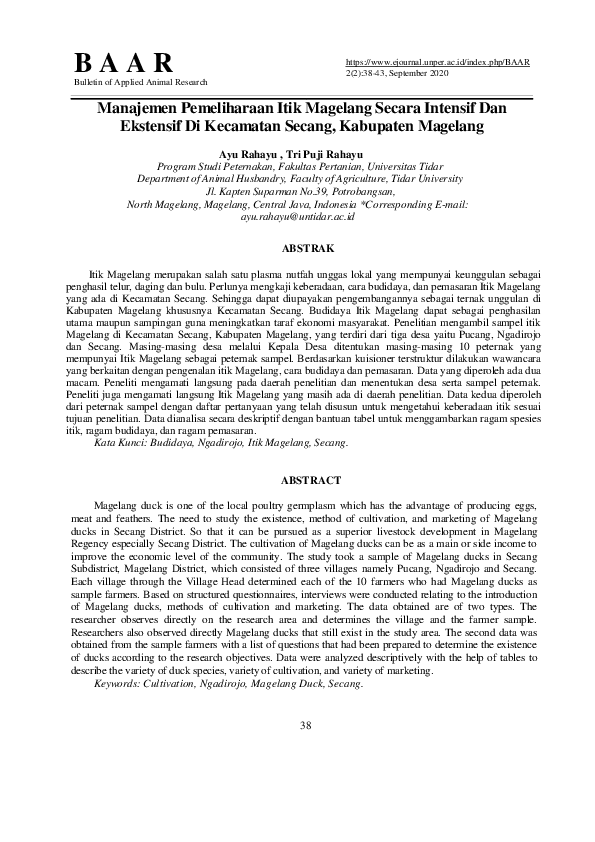 (PDF) Manajemen Pemeliharaan Itik Magelang Secara Intensif Dan ...