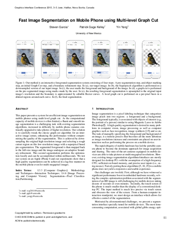 (PDF) Fast image segmentation on mobile phone using multi-level graph cut