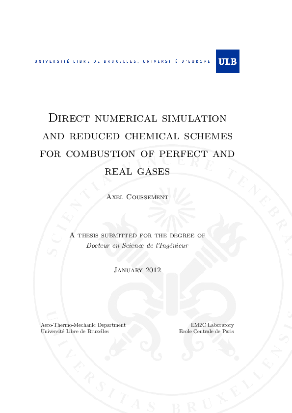(PDF) Direct numerical simulation and reduced chemical schemes for combustion of perfect and ...