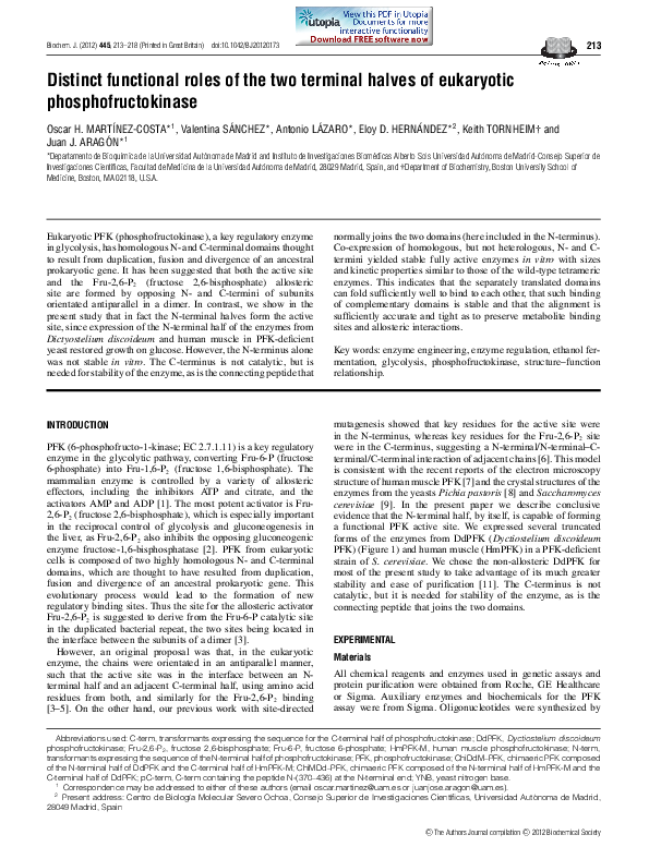 (PDF) Distinct Functional Roles of the Two Terminal Halves of ...