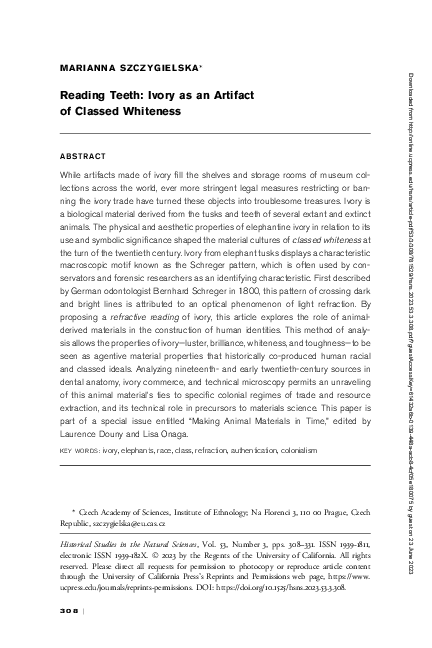 (PDF) Reading Teeth: Ivory as an Artifact of Classed Whiteness
