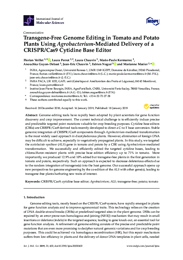 (PDF) Transgene-Free Genome Editing in Tomato and Potato Plants Using ...