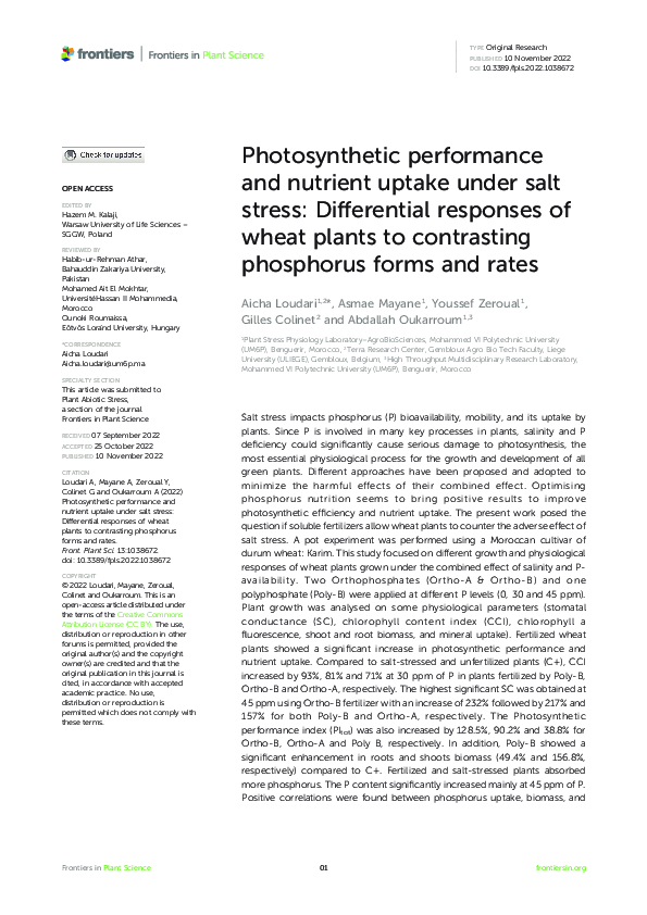 (PDF) Photosynthetic performance and nutrient uptake under salt stress ...