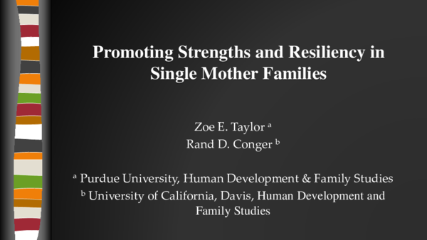 (PDF) Promoting Strengths and Resilience in Single-Mother Families
