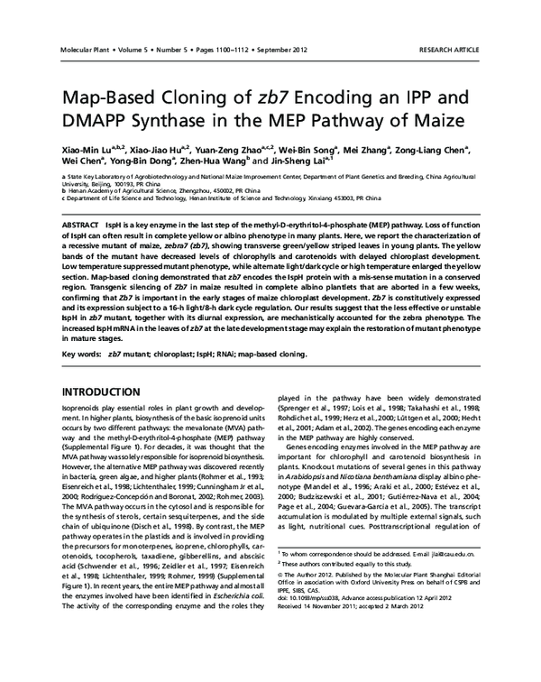 Pdf Map Based Cloning Of Zb7 Encoding An Ipp And Dmapp Synthase In