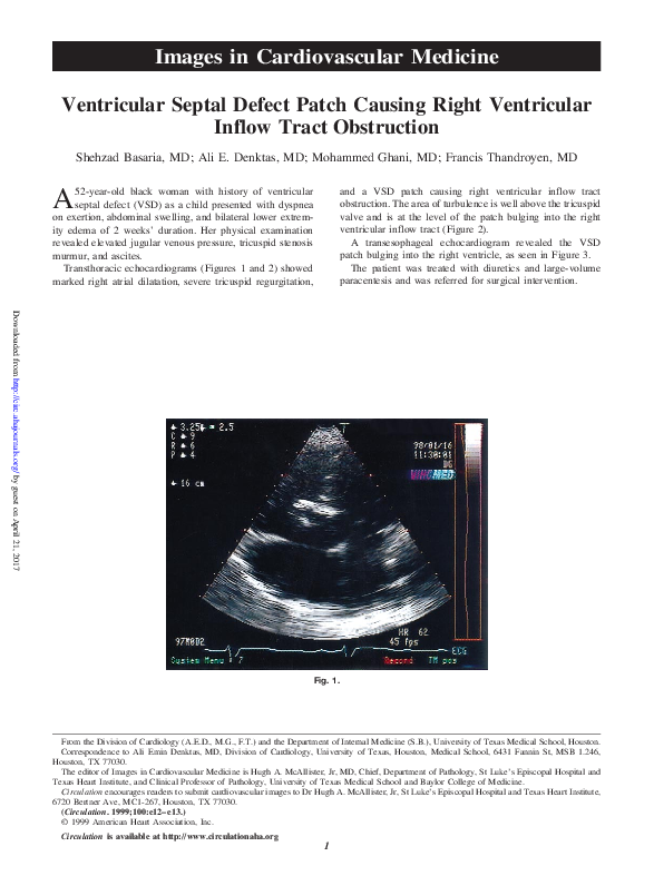 (PDF) Ventricular Septal Defect Patch Causing Right Ventricular Inflow ...