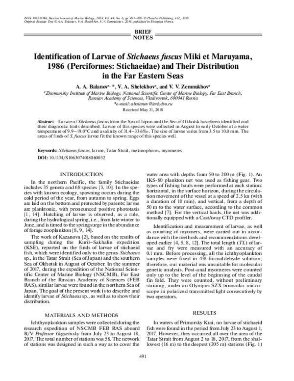 (PDF) Identification of Larvae of Stichaeus fuscus Miki et Maruyama ...
