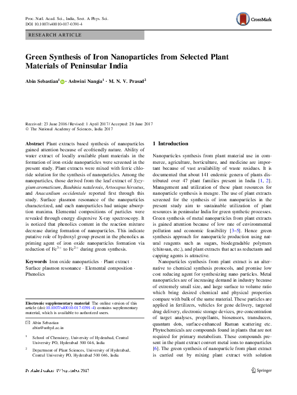 (PDF) Green Synthesis of Iron Nanoparticles from Selected Plant Materials of Peninsular India