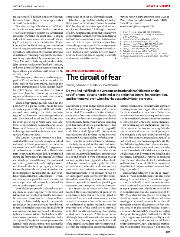 (PDF) The circuit of fear