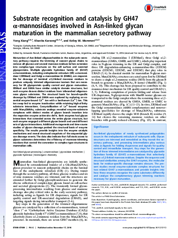 (PDF) Substrate recognition and catalysis by GH47 α-mannosidases ...
