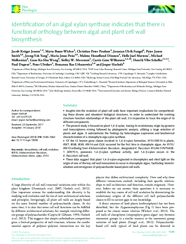 (PDF) Identification of an algal xylan synthase indicates that there is ...