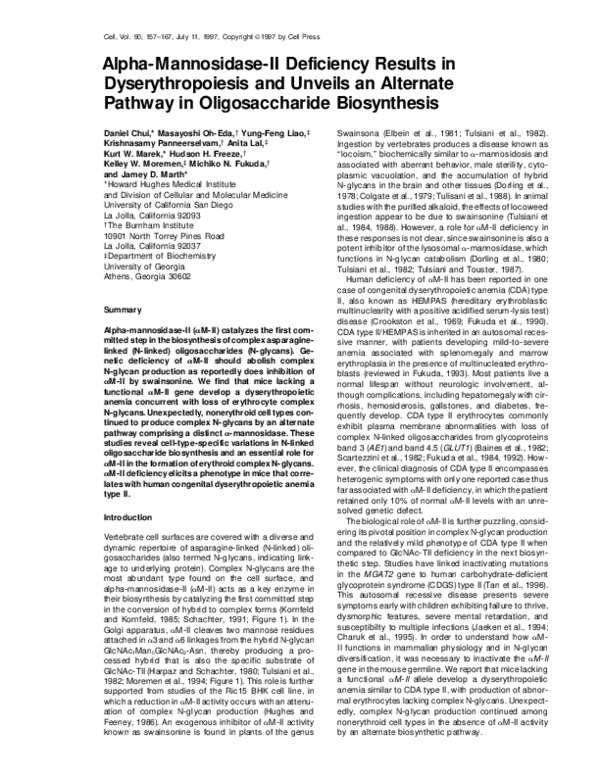 (PDF) Alpha-Mannosidase-II Deficiency Results in Dyserythropoiesis and ...