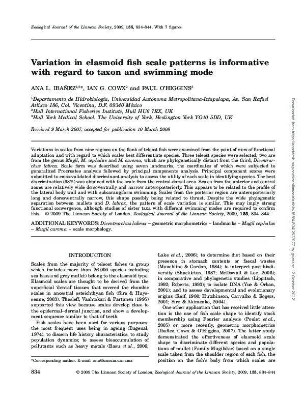 (PDF) Variation in elasmoid fish scale patterns is informative with ...
