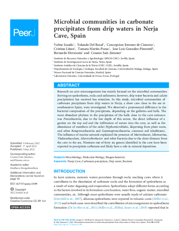 (PDF) Microbial communities in carbonate precipitates from drip waters ...