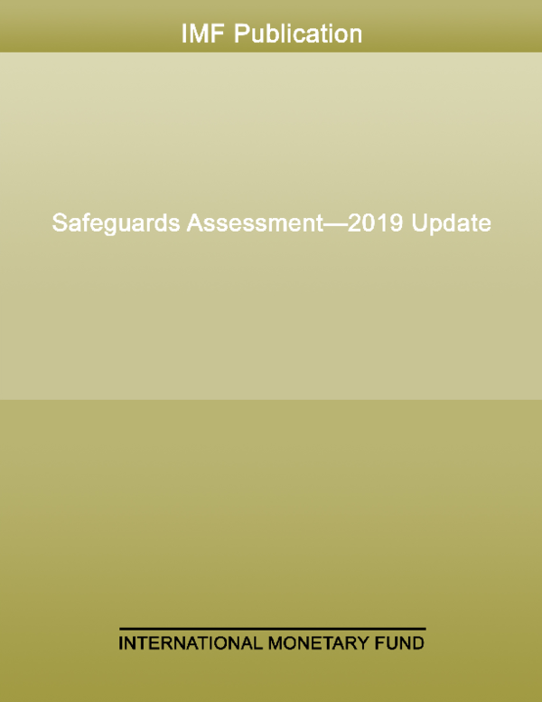 (PDF) Safeguards Assessment—2019 Update