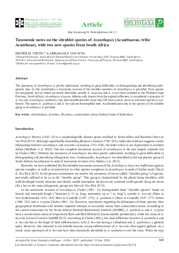 (PDF) Taxonomic notes on the shrublet species of Acanthopsis ...