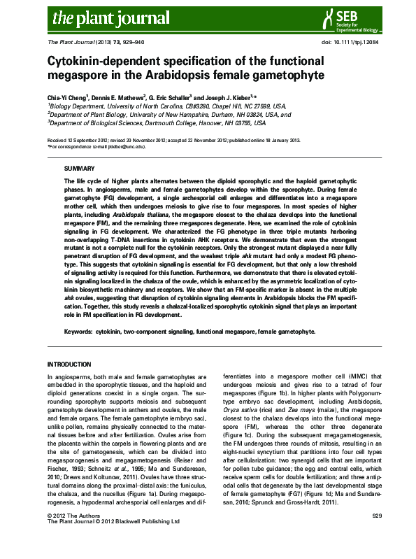 (PDF) Cytokinin-dependent specification of the functional megaspore in ...