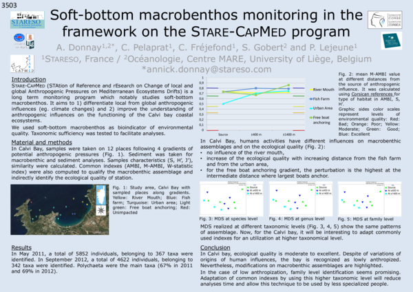 (PDF) Soft-bottom macrobenthos monitoring in the framework of the STARE ...