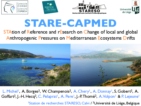 (PDF) Stare-Capmed: Présentation générale du projet et exemple d'une ...
