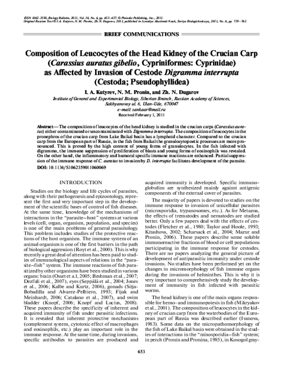 (PDF) Composition of Leucocytes of the Head Kidney of the Crucian Carp ...