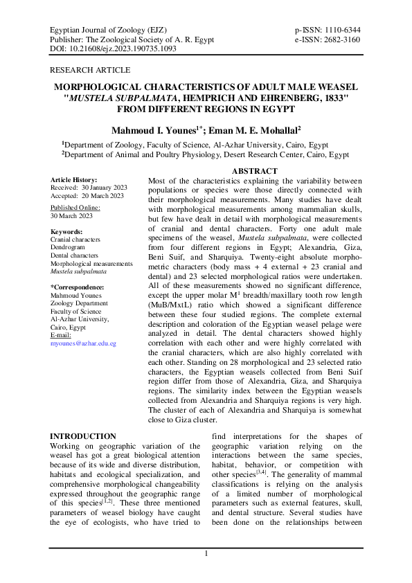 (PDF) Morphological Characteristics of Adult Male Weasel "Mustela ...