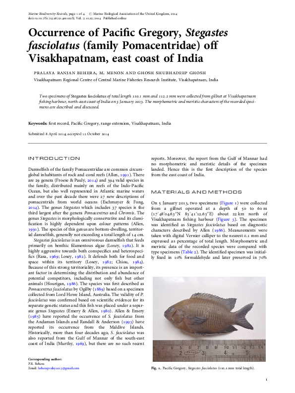 (PDF) Occurrence of Pacific Gregory, Stegastes fasciolatus (family ...