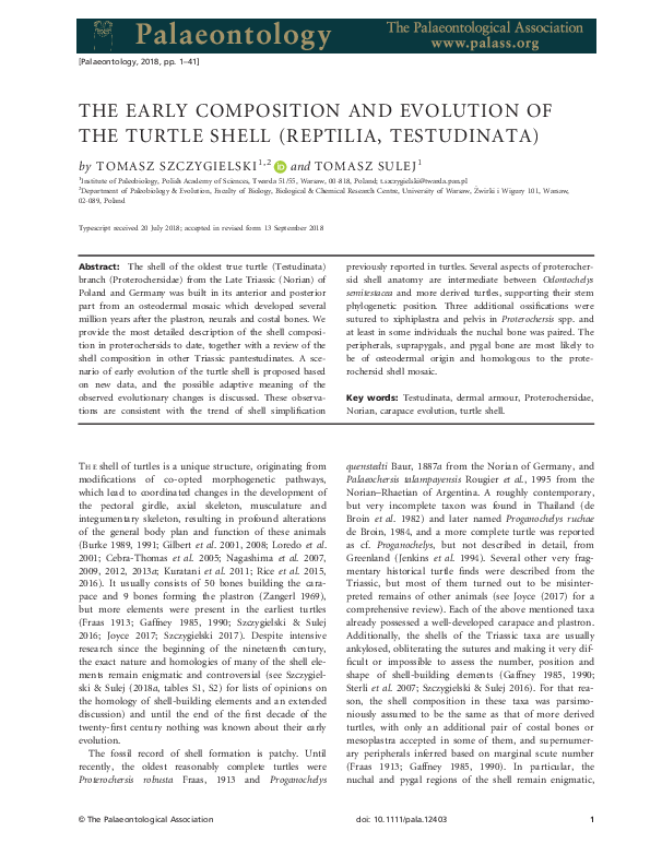 (PDF) The early composition and evolution of the turtle shell (Reptilia ...