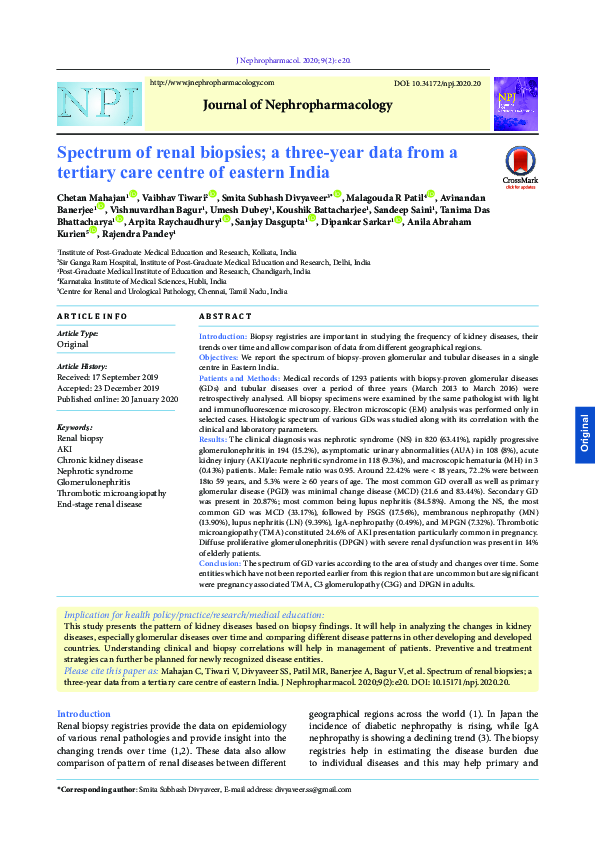 (PDF) Spectrum of renal biopsies; a three-year data from a tertiary care centre of eastern India