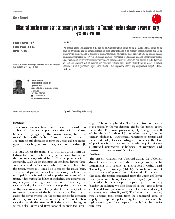 (PDF) Bilateral double ureters and accessory renal vessels in a ...