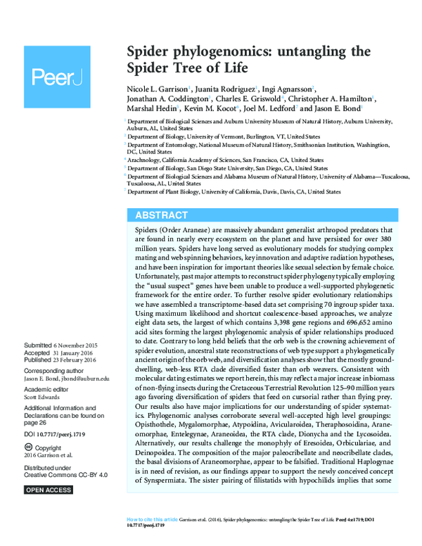 (PDF) Spider phylogenomics: untangling the Spider Tree of Life