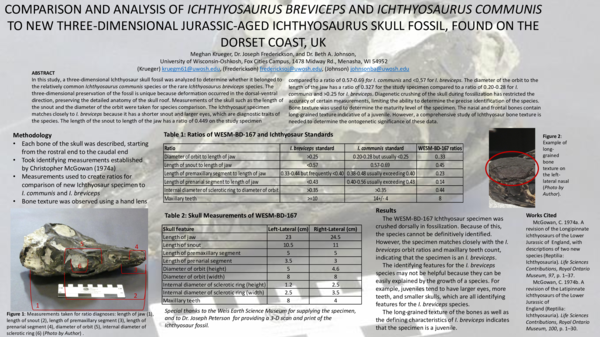 (PDF) Comparison and Analysis of Ichthyosaurus Breviceps and ...