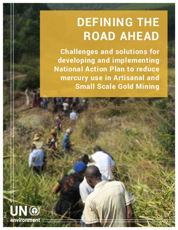 (PDF) Challenges and solutions for developing and implementing National Action Plan to reduce ...